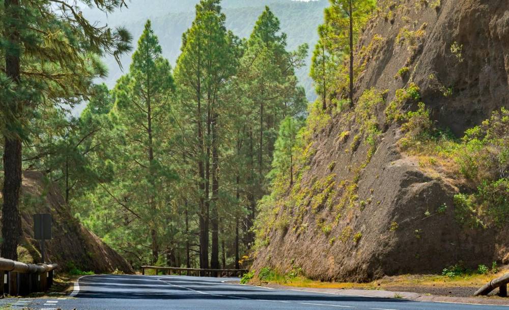 Internet de las Cosas ayudará a prevenir derrumbes en carreteras de ...