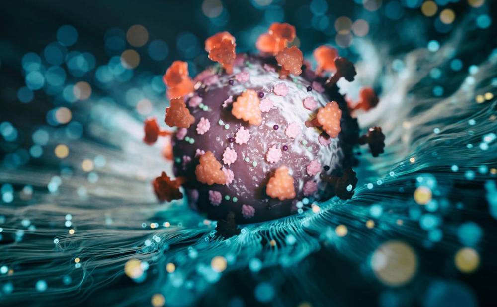 Pirola, variante COVID