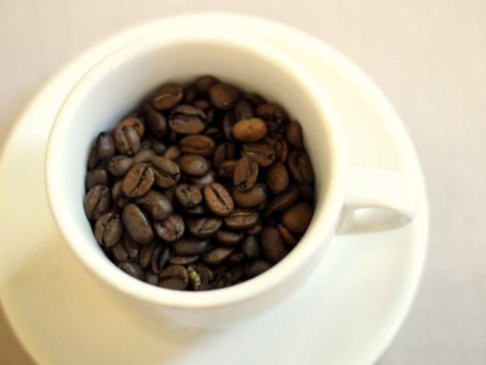 Café geisha, el ritual de tomar el exótico y carísimo lujo panameño