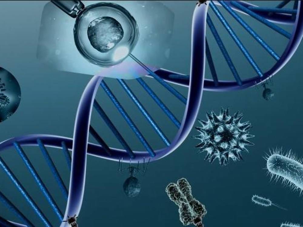 Genética describe 10.000 años de evolución de inmunidad humana