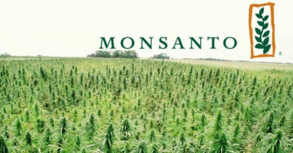 Bayer eleva su oferta por Monsanto hasta los US$64.000 millones