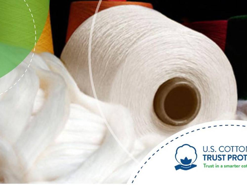 Creditex adopta las mejores prácticas para asegurar sostenibilidad en ...