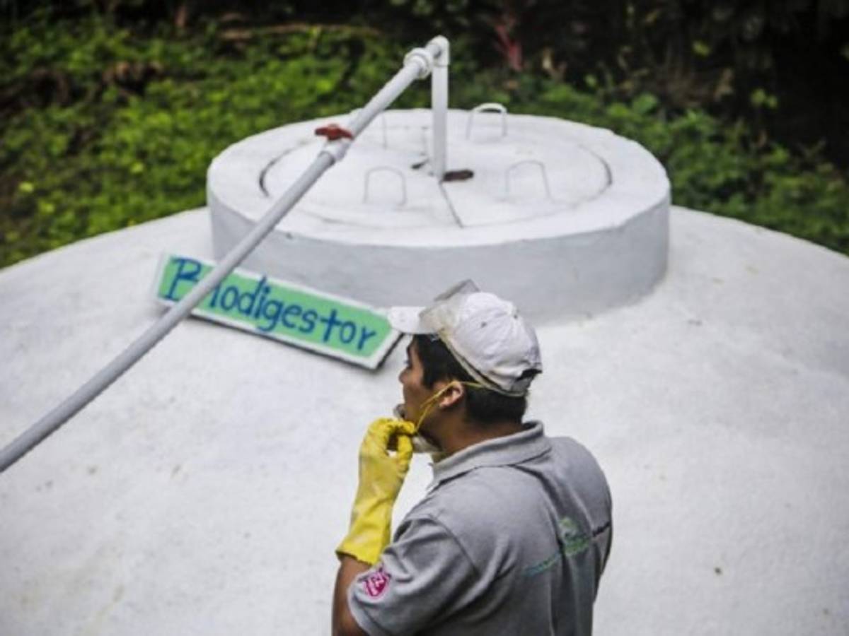 Haciendas usan residuo de café como fuente de energía