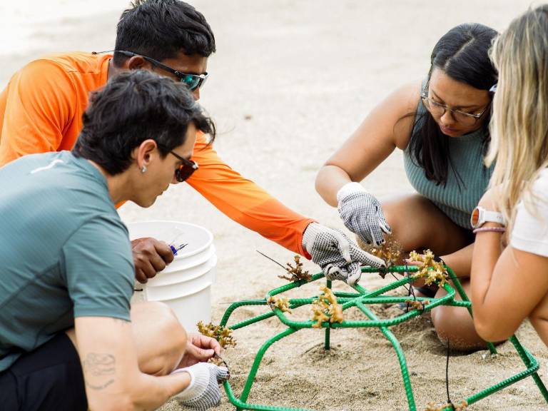 Peninsula Papagayo impulsa un modelo de turismo sostenible que genera ...