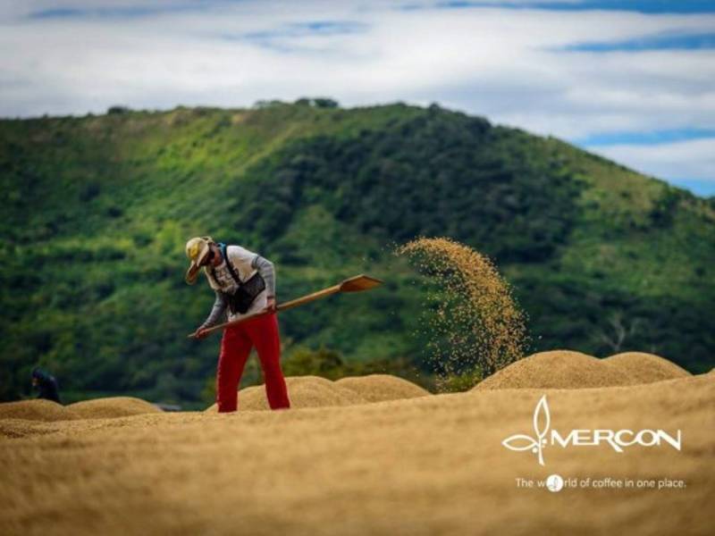 Grupo Mercon: El café de cada día