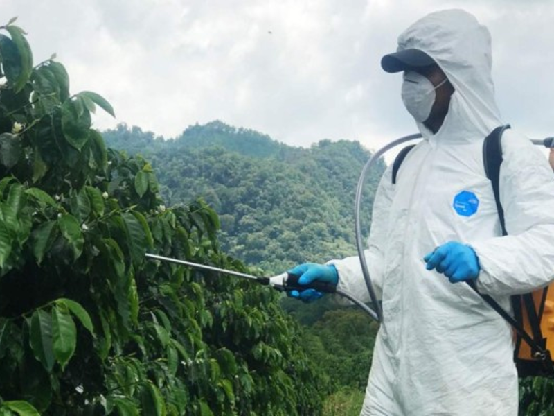 Guatemala: Foragro expande su operación a Panamá