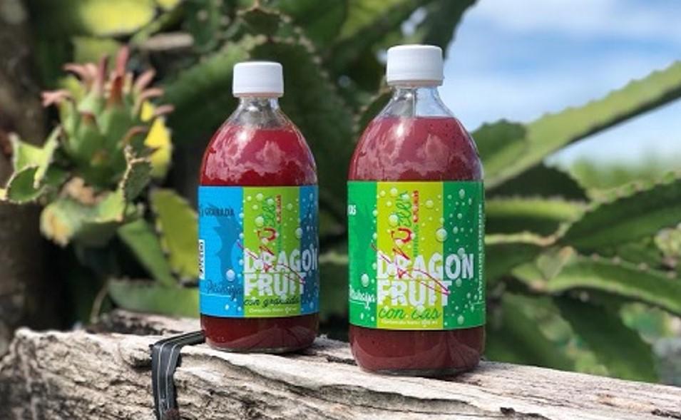 Patica Products: Emprendimiento tico cuya estrella es la pitahaya