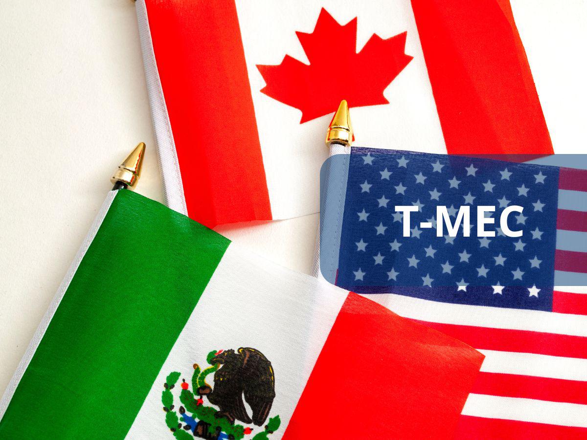 Cinco años del T-MEC: México y Canadá crecieron hasta 12 veces en ...